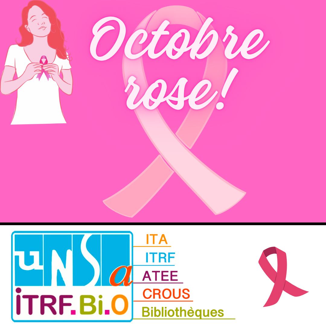 Octobre Rose 2025 : Ensemble pour la Santé – Cancer du Sein, Dépistage ...